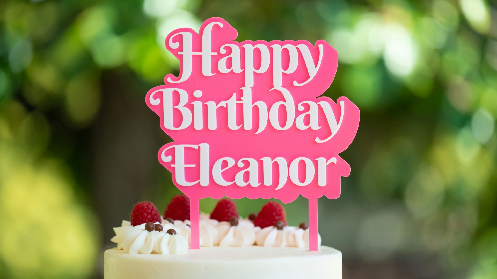 Cuttle: Generate Personalized SVG Cut Files in seconds